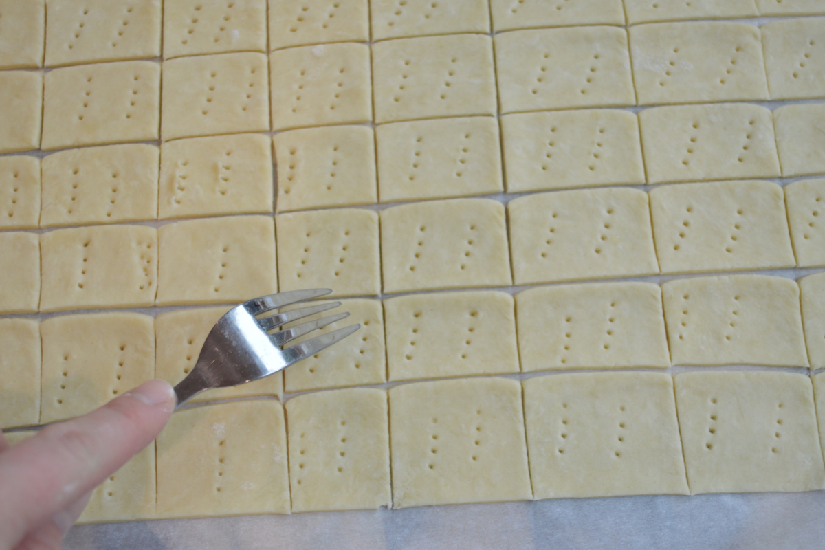 Super Simple Sourdough Discard Crackers - XVI Acres